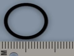 O-ring-Insertion Tube - EDC Parts